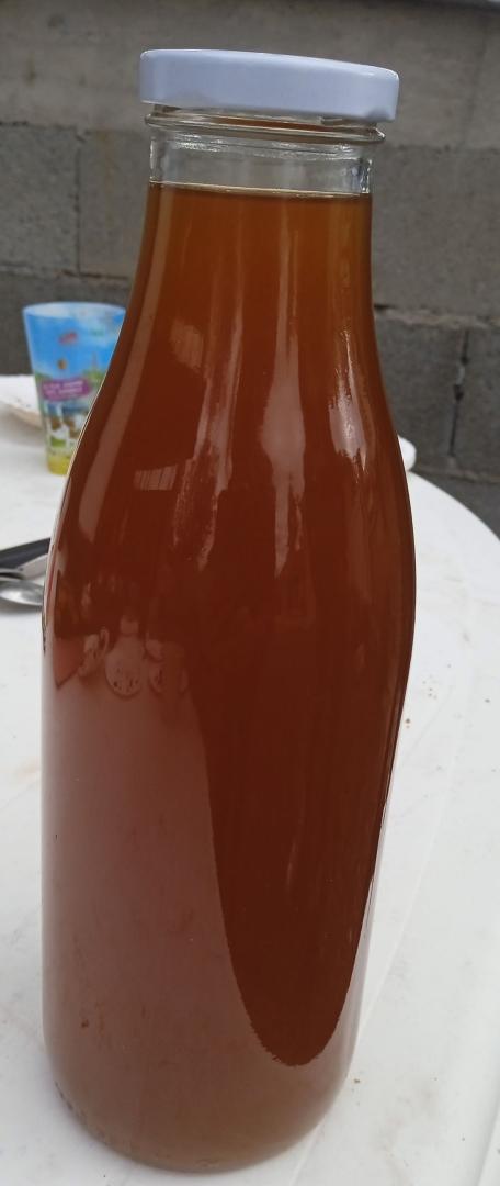 TP Fabrication de jus de pomme pour les 2PRO PA - ISVT La Salle – Le ...