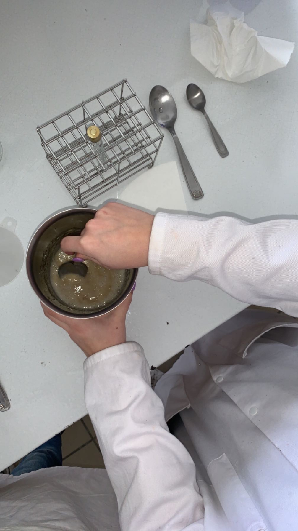 TP extraction d'ADN - Term LCQ - ISVT La Salle – Le Puy-en-Velay