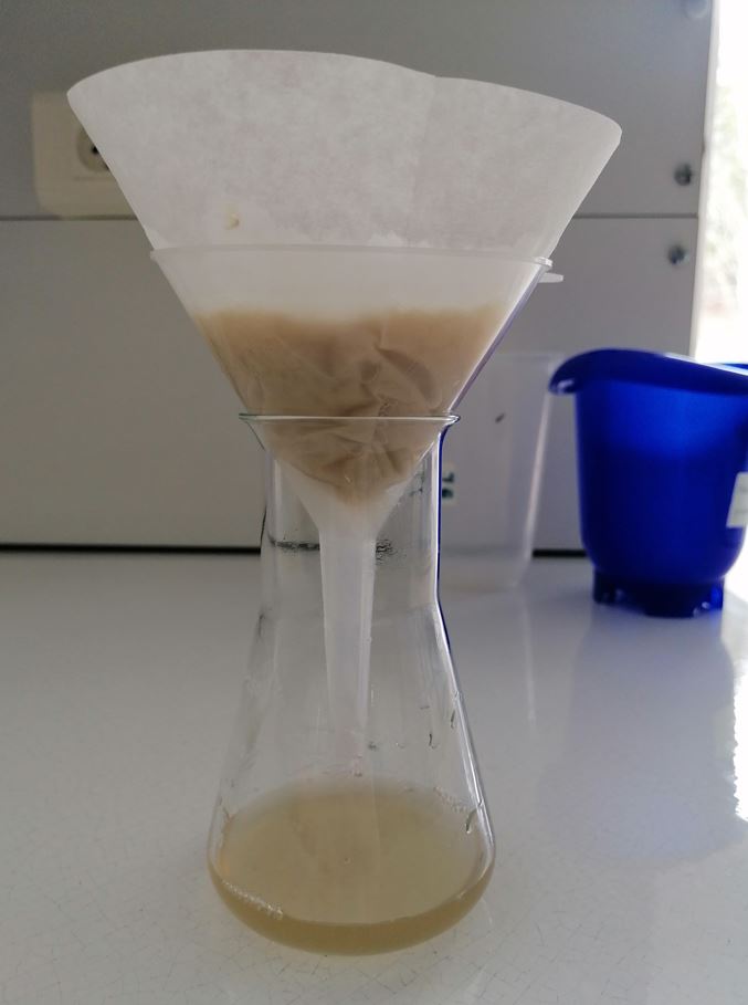 TP extraction d'ADN - Term LCQ - ISVT La Salle – Le Puy-en-Velay