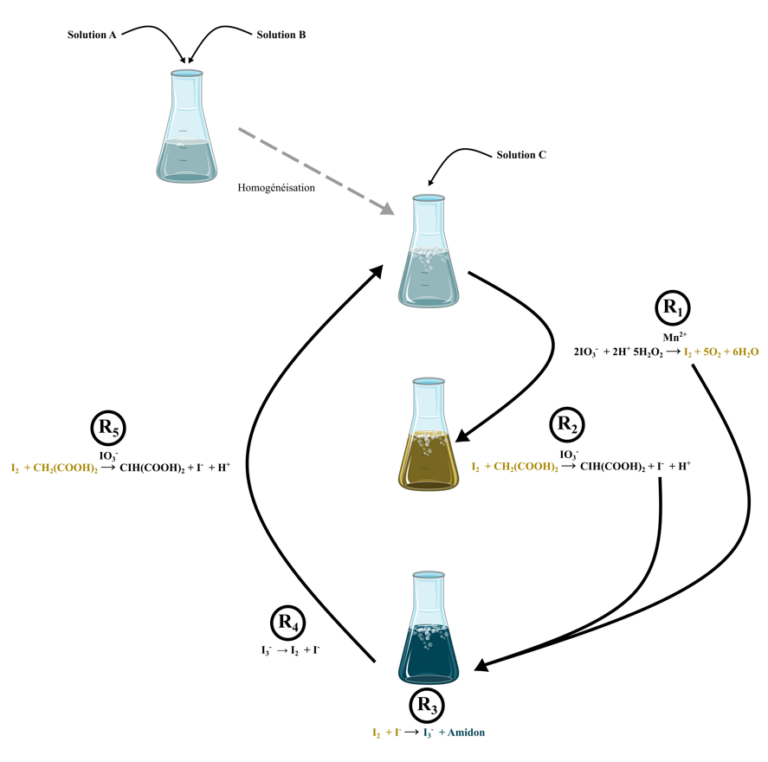 La réaction de Briggs-Rauscher - ISVT La Salle – Le Puy-en-Velay